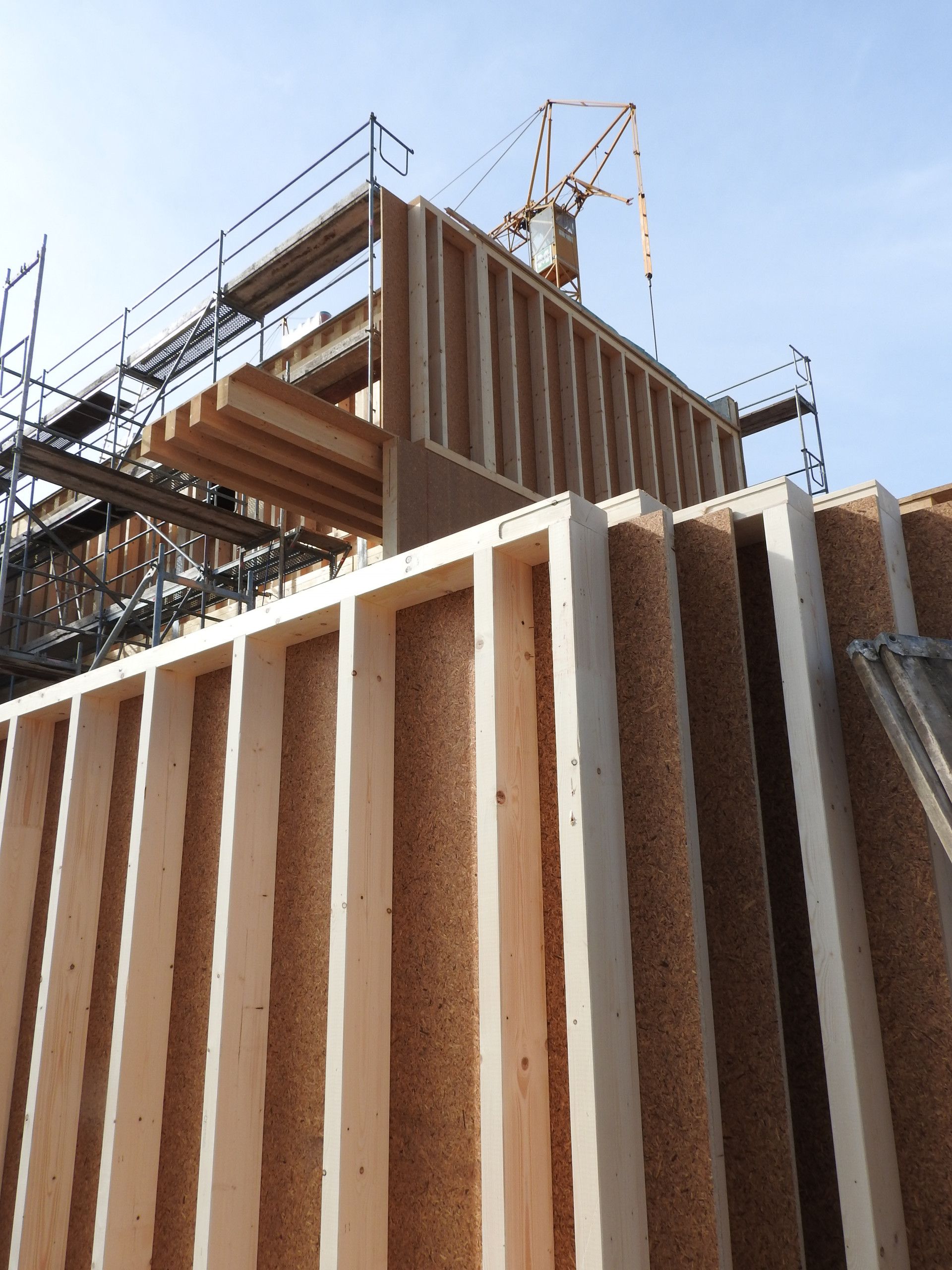 Die nachhaltige Alternative zu OSB! | Zimmerer-Treffpunkt