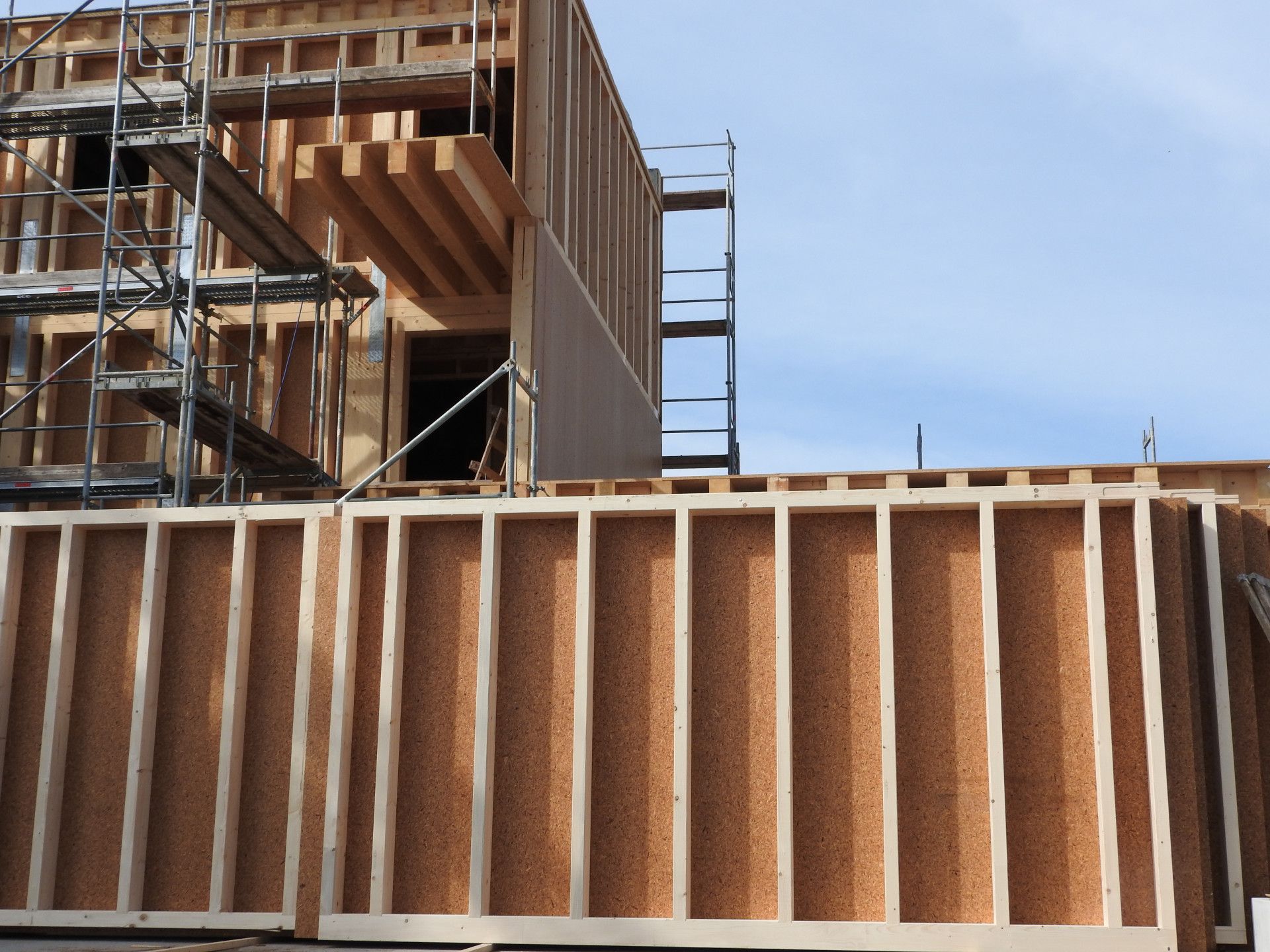 Die nachhaltige Alternative zu OSB! | Zimmerer-Treffpunkt